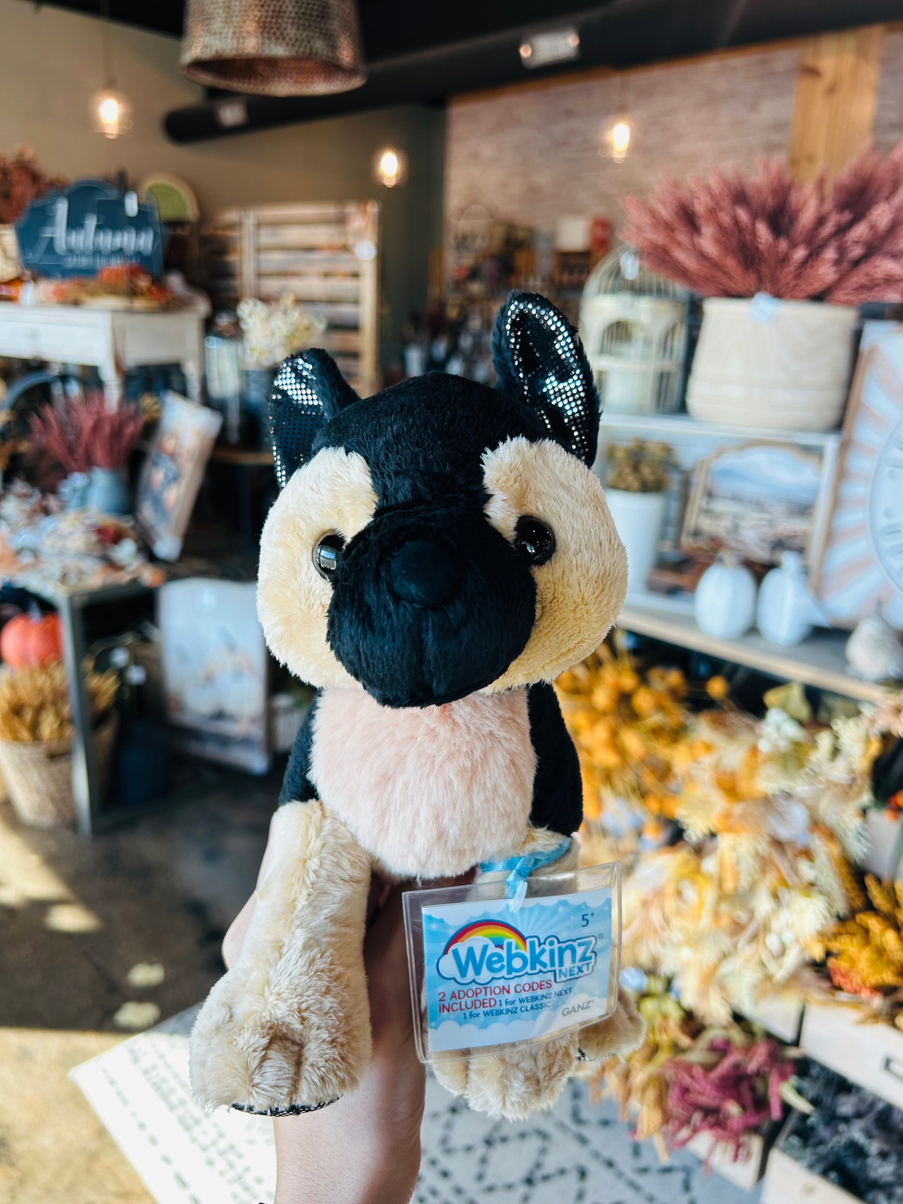 Webkinz – Jennie's Homeshed